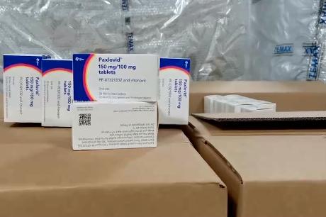 国产Paxlovid要来了！辉瑞明确：上半年引入中国_凤凰网