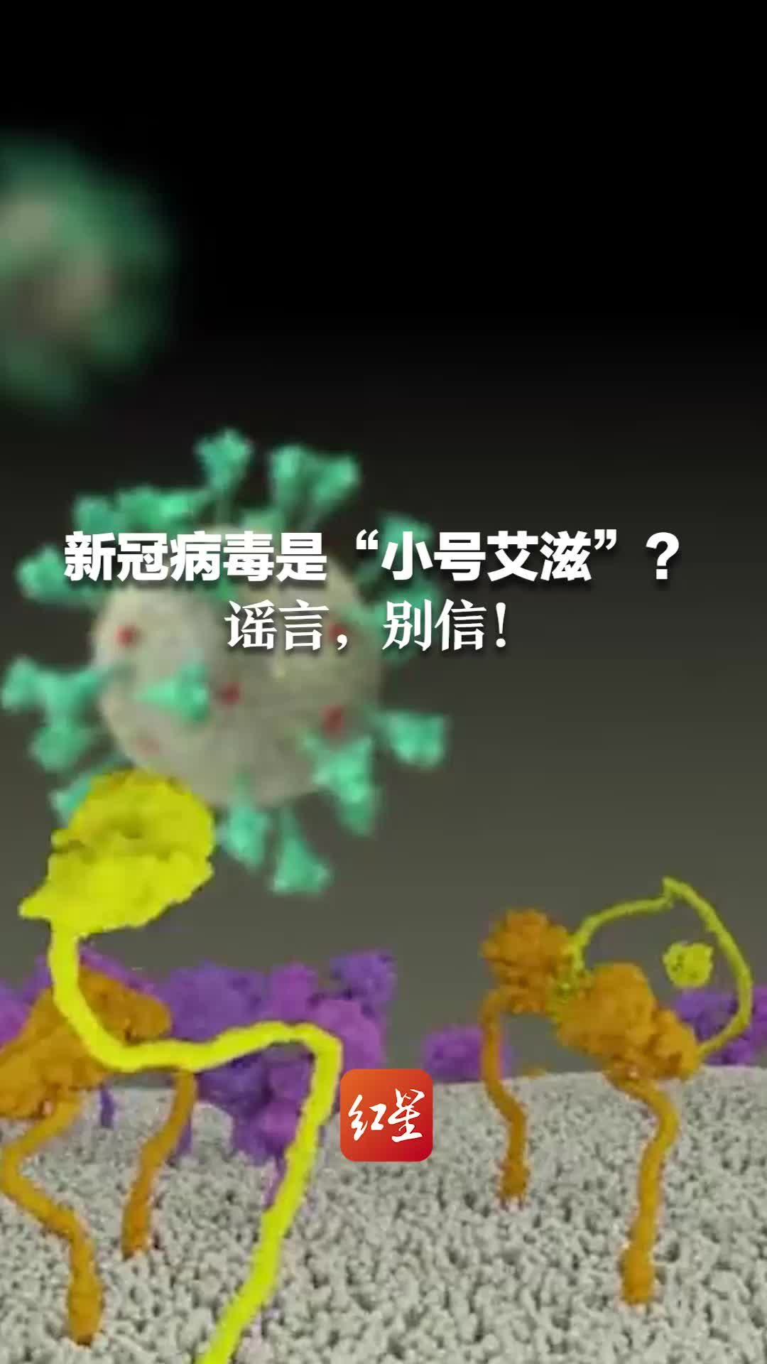 新冠病毒是“小号艾滋”?谣言,别信 凤凰网视频 凤凰网