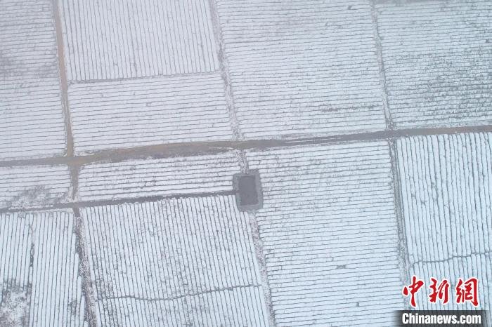 航拍江西金溪雪后茶园银装素裹凤凰网宁波_凤凰网