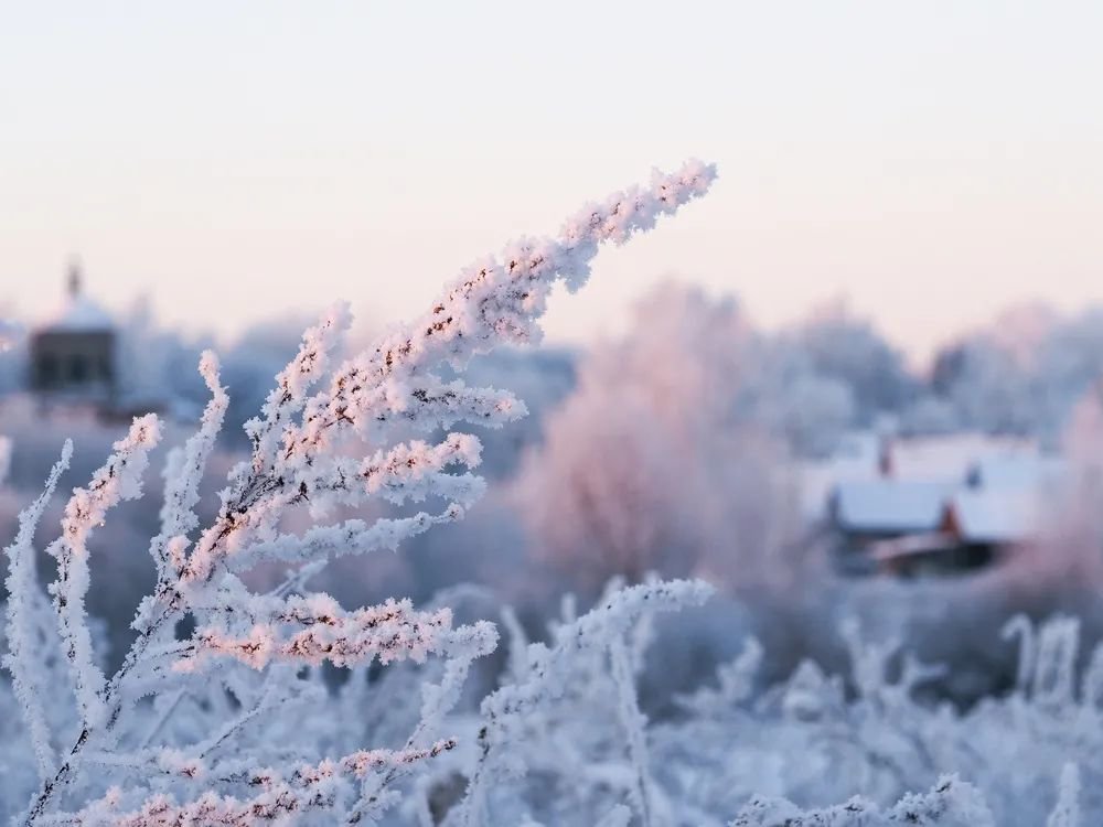 雨雪天气又要来了！最新提示在这里凤凰网陕西_凤凰网
