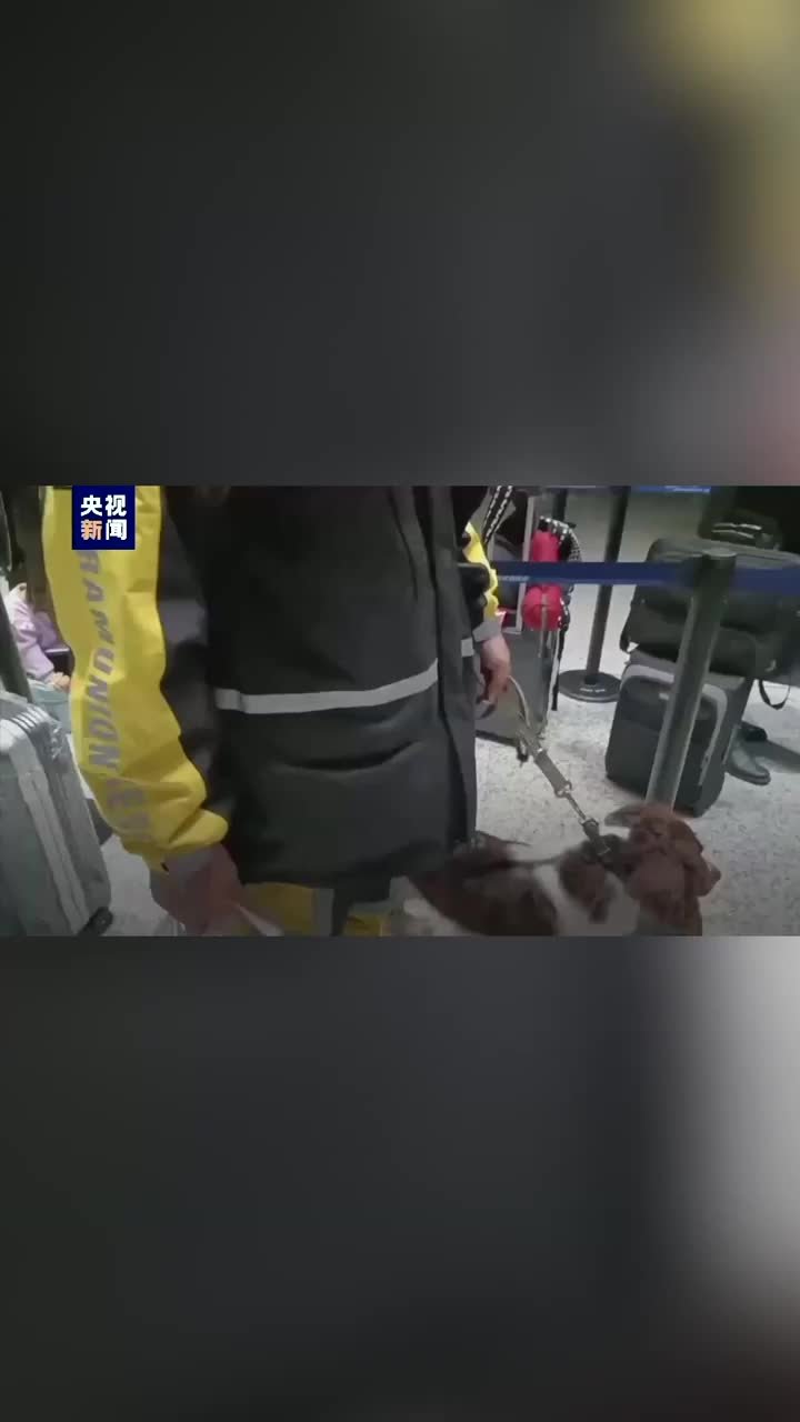 携带1.5吨急需药品，中国志愿救援联队赴土耳其开展救援_凤凰网视频_凤凰网