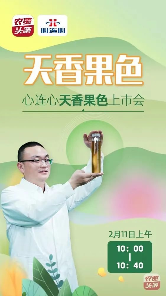 2023 心连心·天香果色上市会成功召开凤凰网河南_凤凰网