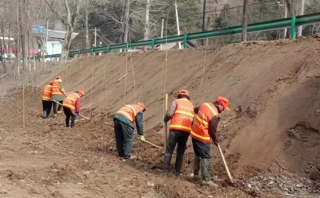 洛南大力实施村庄清洁整治行动凤凰网陕西_凤凰网