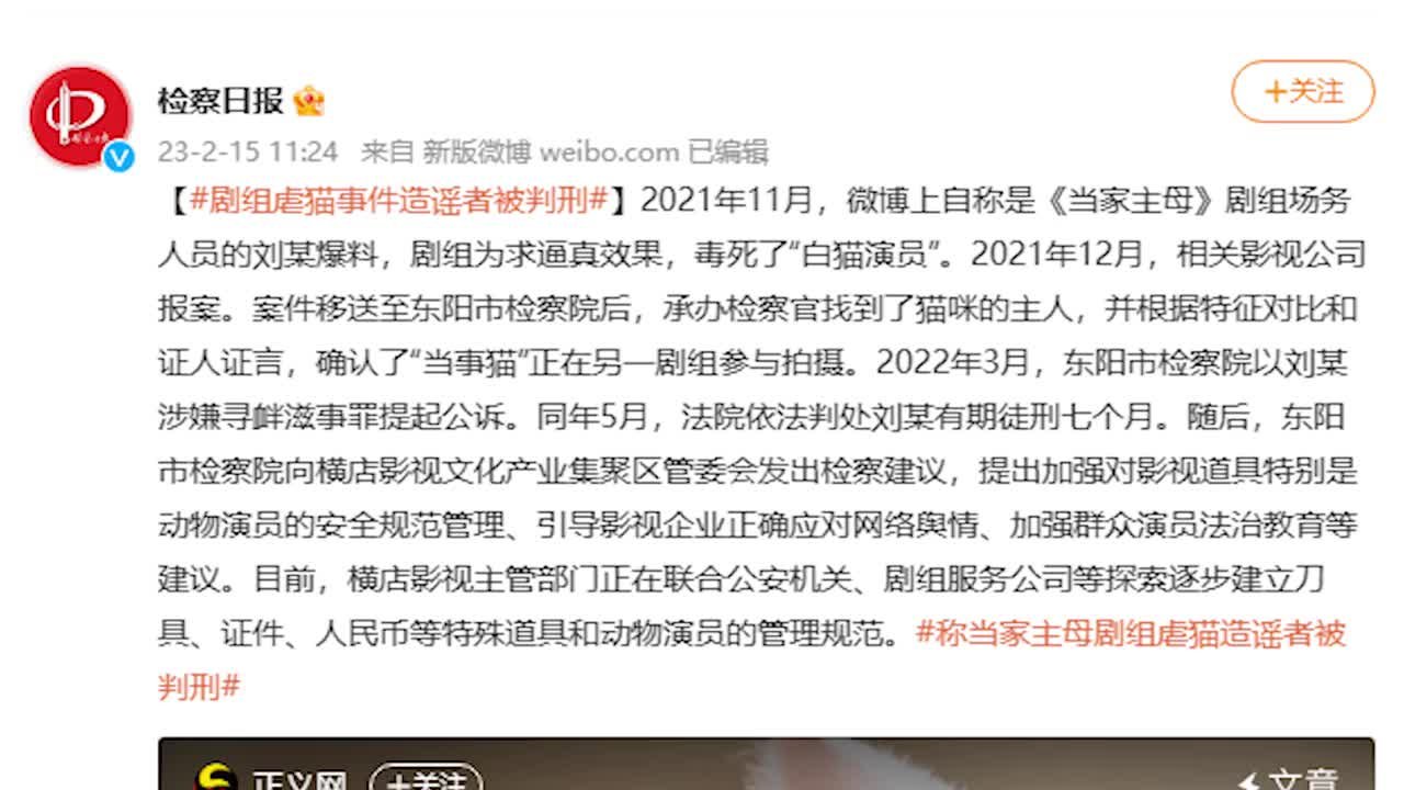 《当家主母》剧组虐猫事件造谣者被判刑七个月凤凰网视频凤凰网