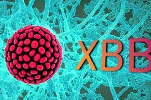 官方宣布本轮疫情已基本结束，首例本土XBB.1.5情况如何？_凤凰网健康_凤凰网