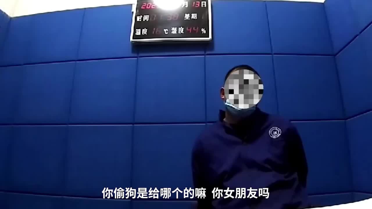 为讨好女友,男子偷狗送女友的孩子后被抓凤凰网视频凤凰网