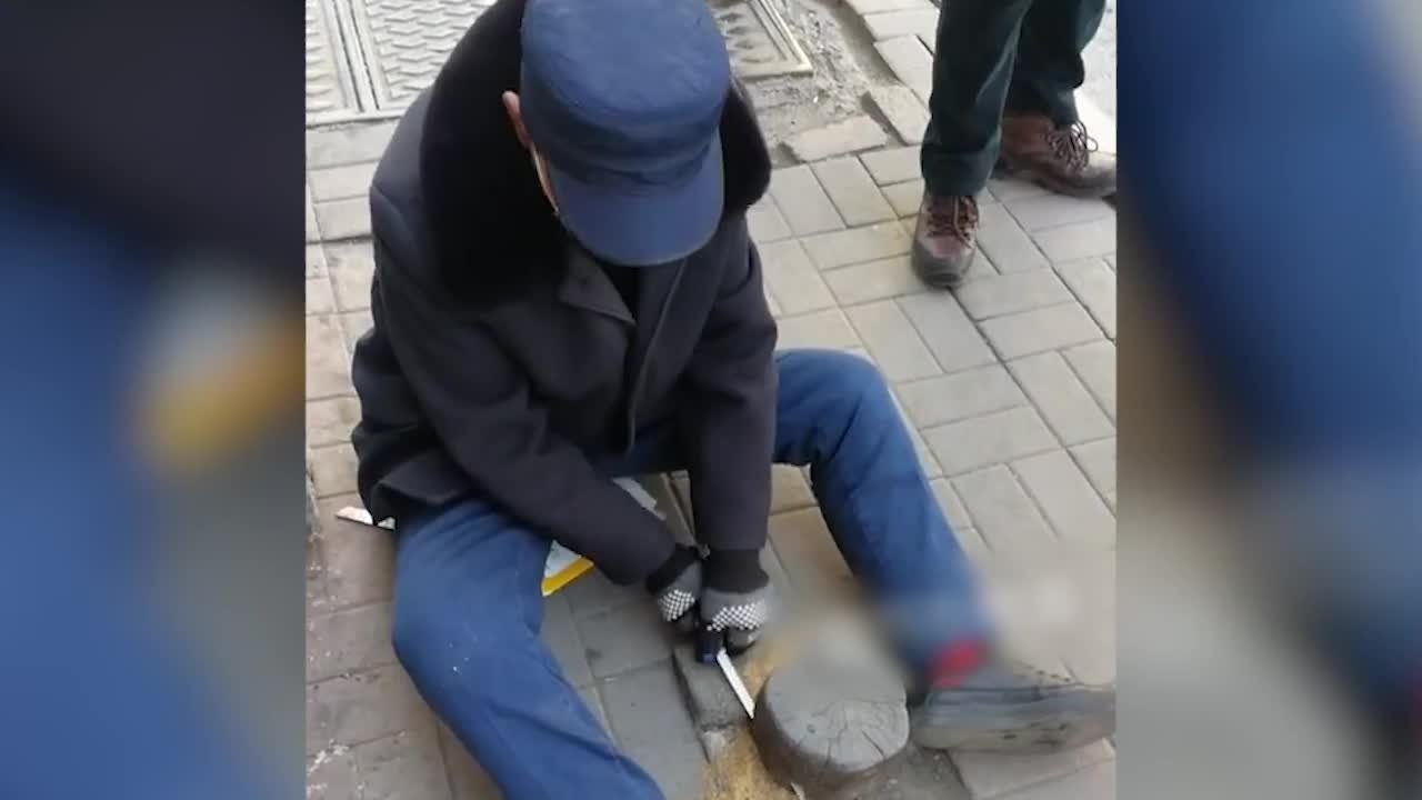 七旬大爷自带工具锯街头绊人树桩凤凰网视频凤凰网