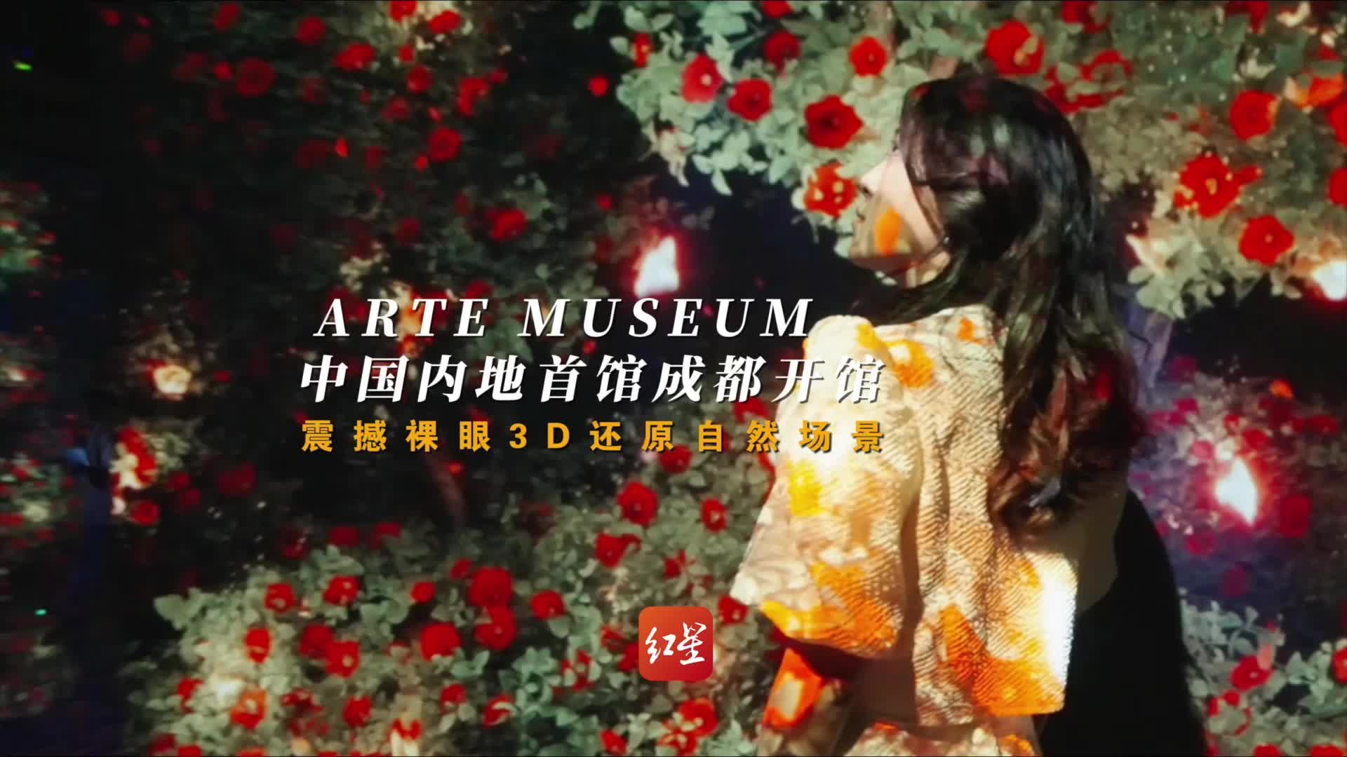 ARTE MUSEUM中国内地首馆成都开馆 震撼裸眼3D还原自然场景_凤凰网视频_凤凰网