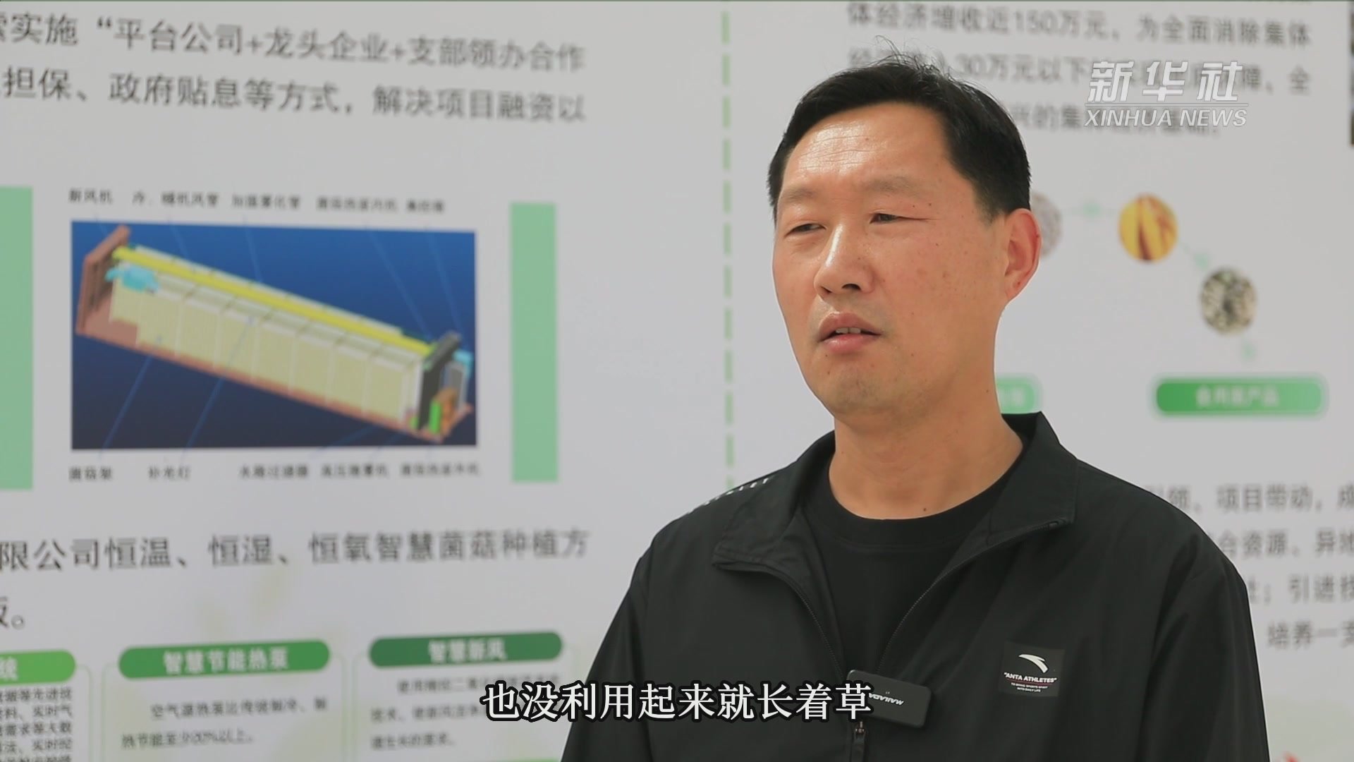 山东临淄：抱团发展 智慧方舱里种出致富菇_凤凰网视频_凤凰网