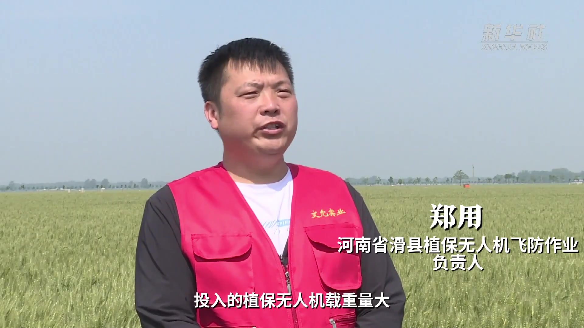 豫北粮仓”：无人机 一喷三防”保夏粮丰收凤凰网资讯凤凰网