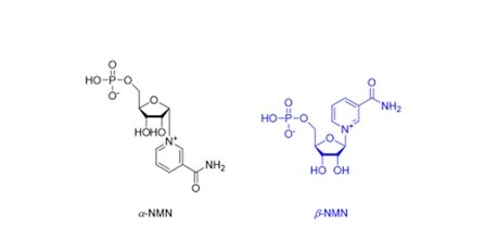 亲测FMUKE福迈克NMN真实效果凤凰网山东_凤凰网