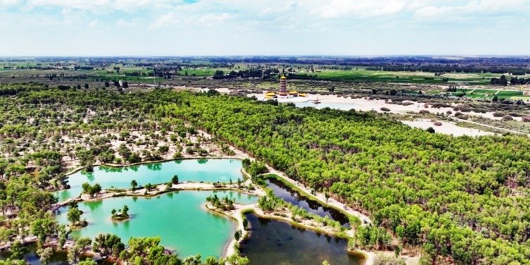 “绿”镜下的沙漠胡杨林绝美 “夏”次一定要去凤凰网甘肃_凤凰网