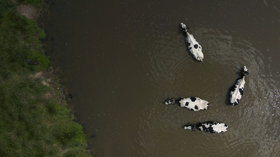加拿大西北领地温度创历史新高，7月的前9天已打破17项温度纪录_凤凰网