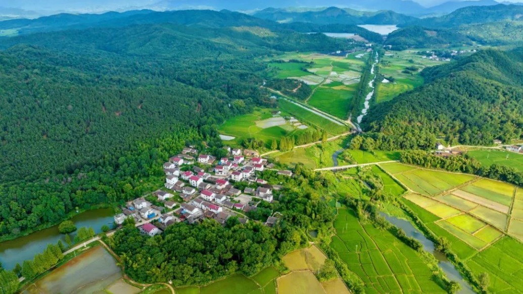 金溪：夏日乡村 生机盎然（图）凤凰网江西_凤凰网