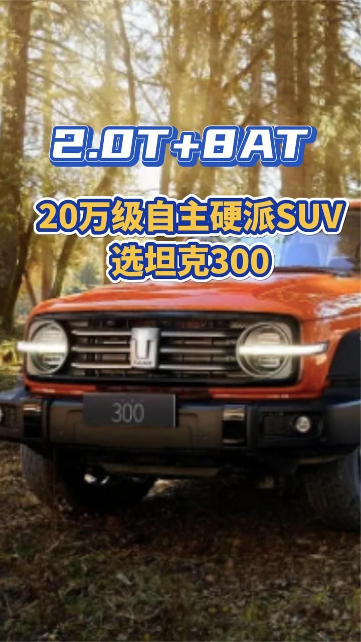 2.0T+8AT，20万级自主硬派SUV，坦克300值得优选_凤凰网视频_凤凰网