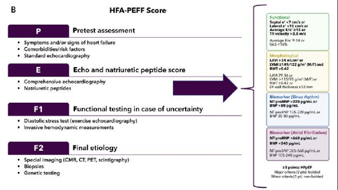 2023 ACC HFpEF 管理专家共识决策路径解读 | GW-ICC 2023_凤凰网健康_凤凰网
