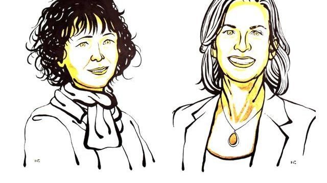 今晚诺贝尔化学奖得主会诞生年度第三个“她”吗？21世纪的决定性材料呼声很高_凤凰网