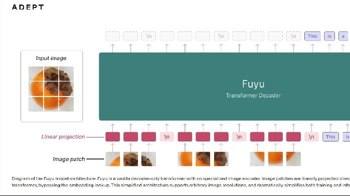 Transformer一作公司Adept发布多模态大模型Fuyu-8B 80亿参数，100毫秒极速响应_凤凰网