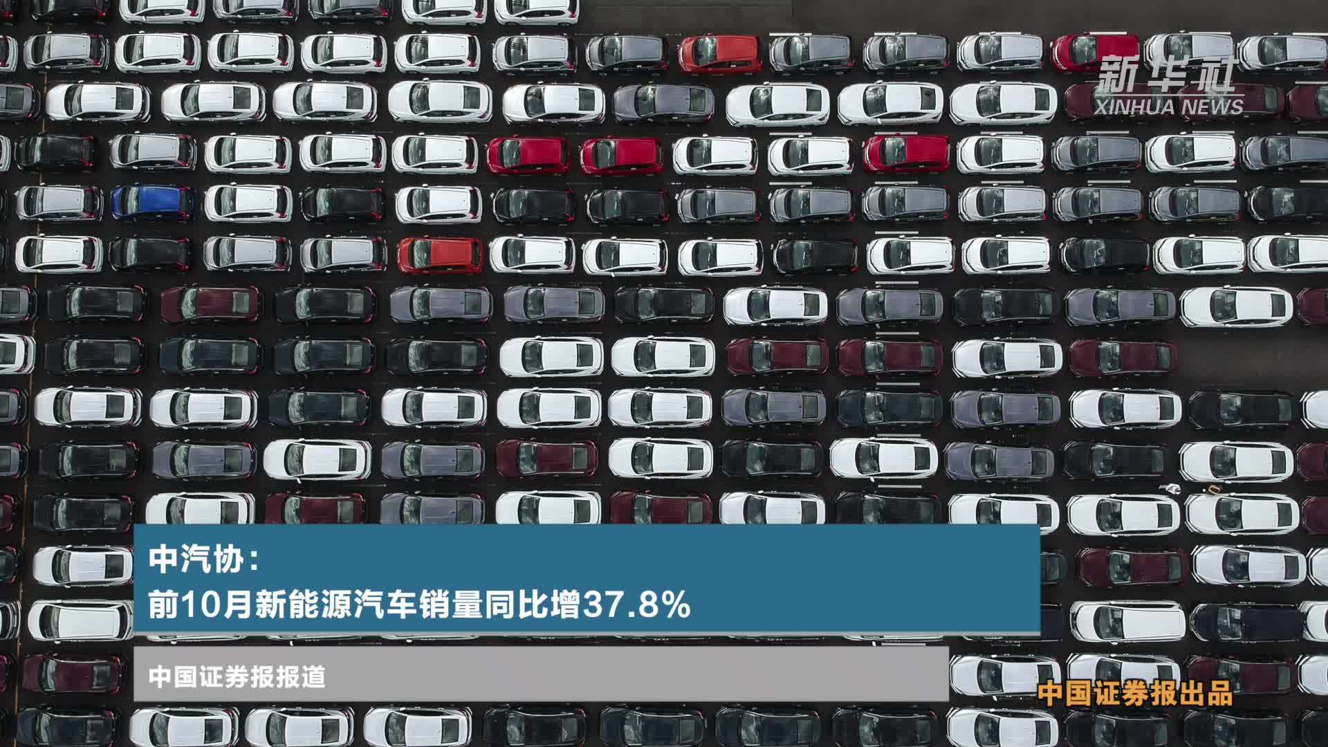 中汽协:前10月新能源汽车销量同比增37 8 凤凰网视频 凤凰网