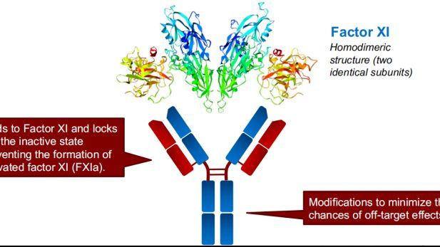 新型抗凝药 FXI 抑制剂可降低房颤患者出血风险 | AHA 2023_凤凰网健康_凤凰网