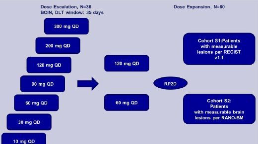张剑教授：可透脑口服 SERD 挑战 ER+/HER2-晚期乳腺癌内分泌治疗困境｜SABCS 2023_凤凰网健康_凤凰网