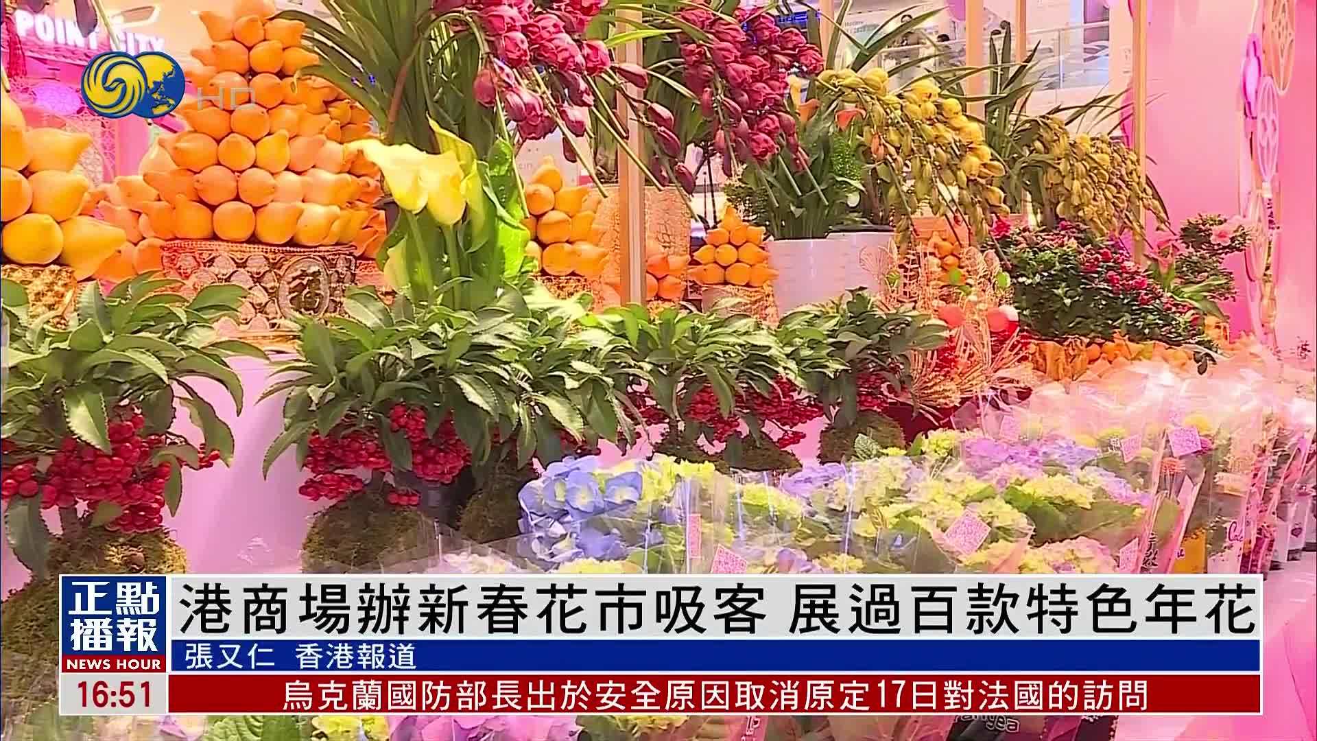 香港商场办新春花市吸客 展过百款特色年花凤凰网视频凤凰网