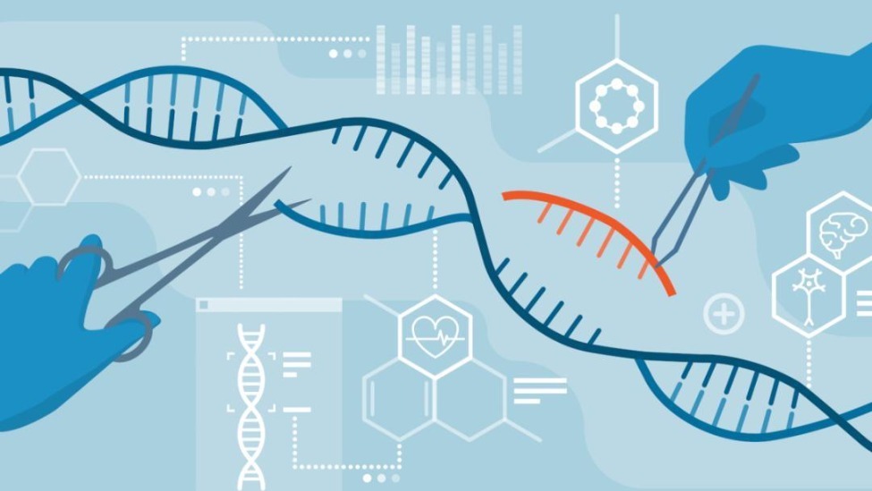 FDA首次批准RNA编辑疗法进入临床，需人体数据“说话”_凤凰网