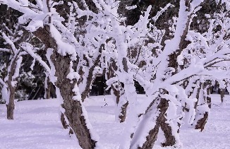 This is an ice and snow world in the coastal wonderland of Yantai_凤凰网视频_凤凰网
