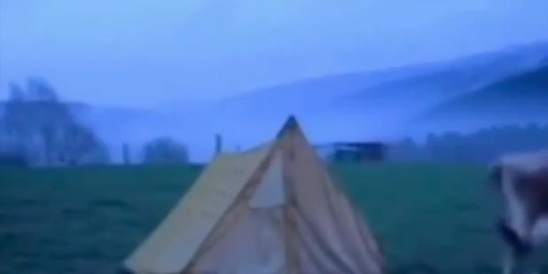 一男子野外露营鞋子神秘失踪?竟然是被它偷了!凤凰网视频凤凰网