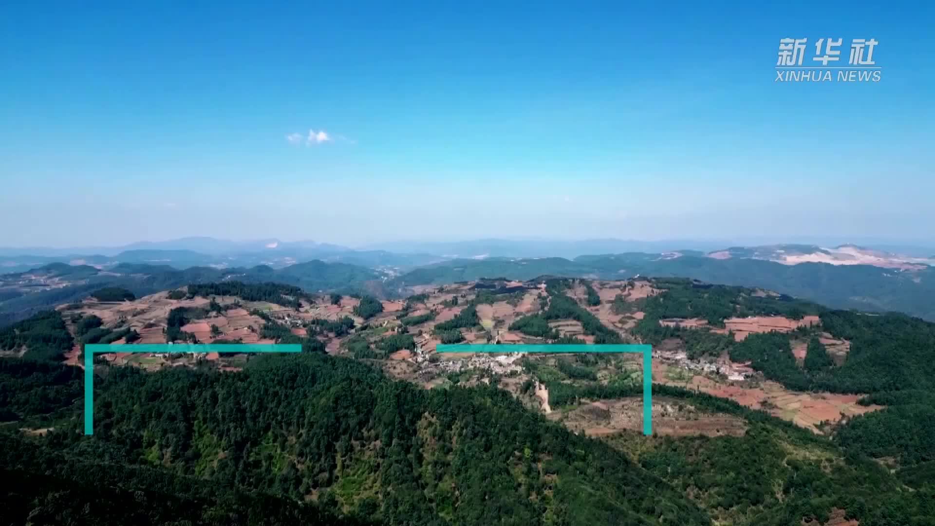 千城胜景｜玉溪江川：正是山花烂漫时_凤凰网视频_凤凰网