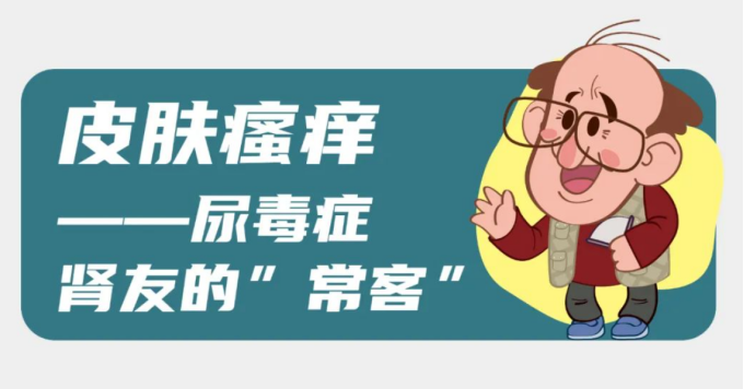 人人享有肾脏健康，REMITCH(丽美治®)与您同行凤凰网山东_凤凰网