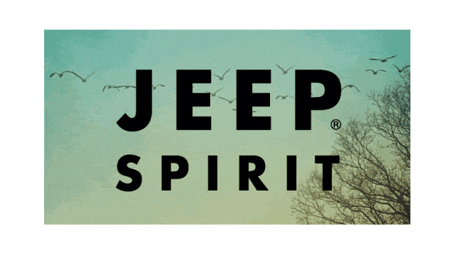 重磅！Jeep纯棉T恤，简约有型，七色可选，79元2件！凤凰网凰家尚品_凤凰网