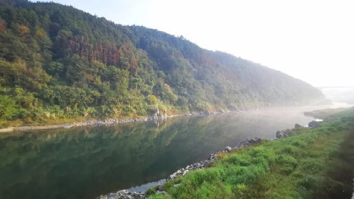 东西问｜徐晓光：清水江文书缘何受到世界关注？_凤凰网