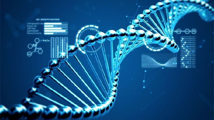分子生物学界核弹级消息！全球首个基因编辑器开源，AI成功编辑人类DNA【附基因编辑行业前景】_凤凰网