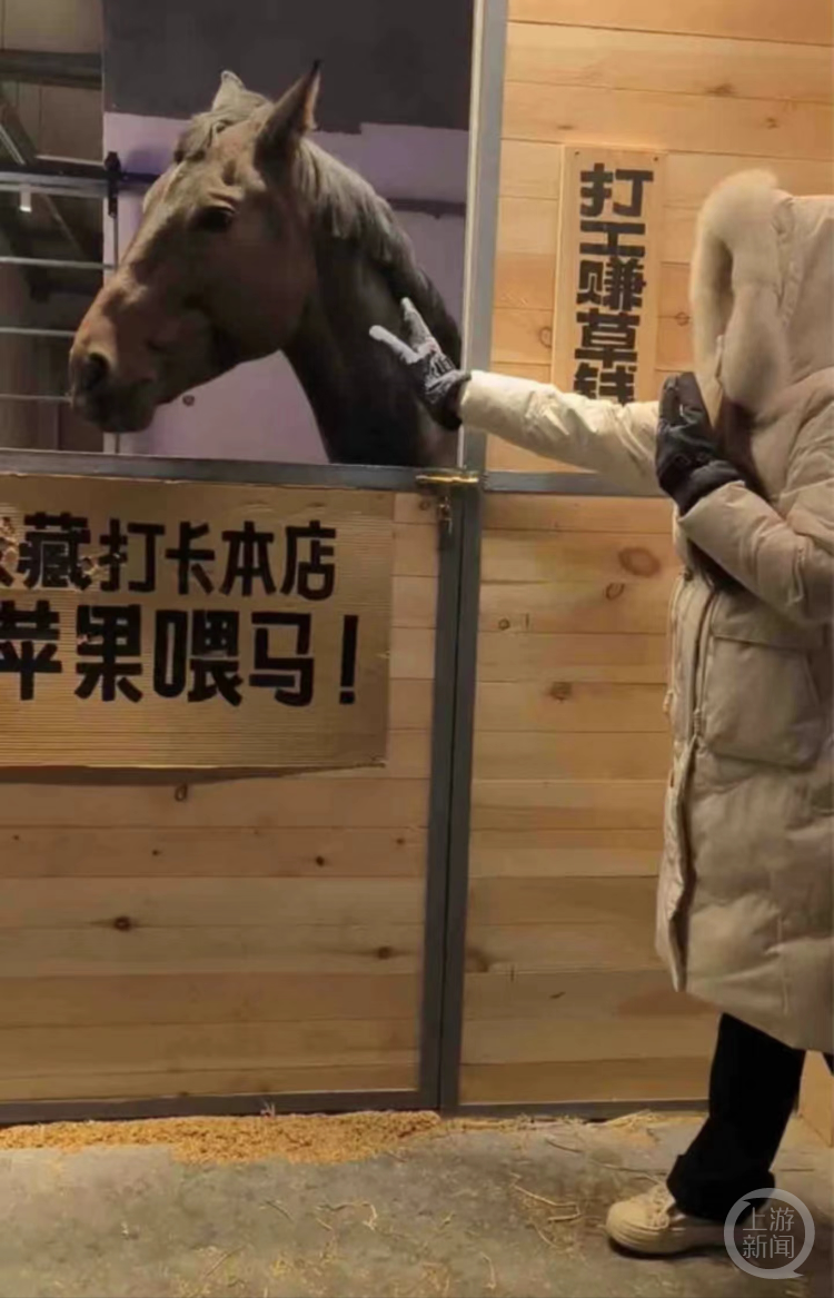 华中师大校园内养了一匹马？校方回应凤凰网湖北_凤凰网