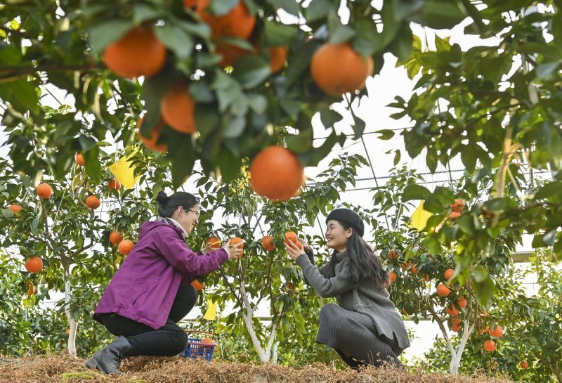 “新余有爱·身边好人”2024年第二季度好人榜公示凤凰网江西_凤凰网