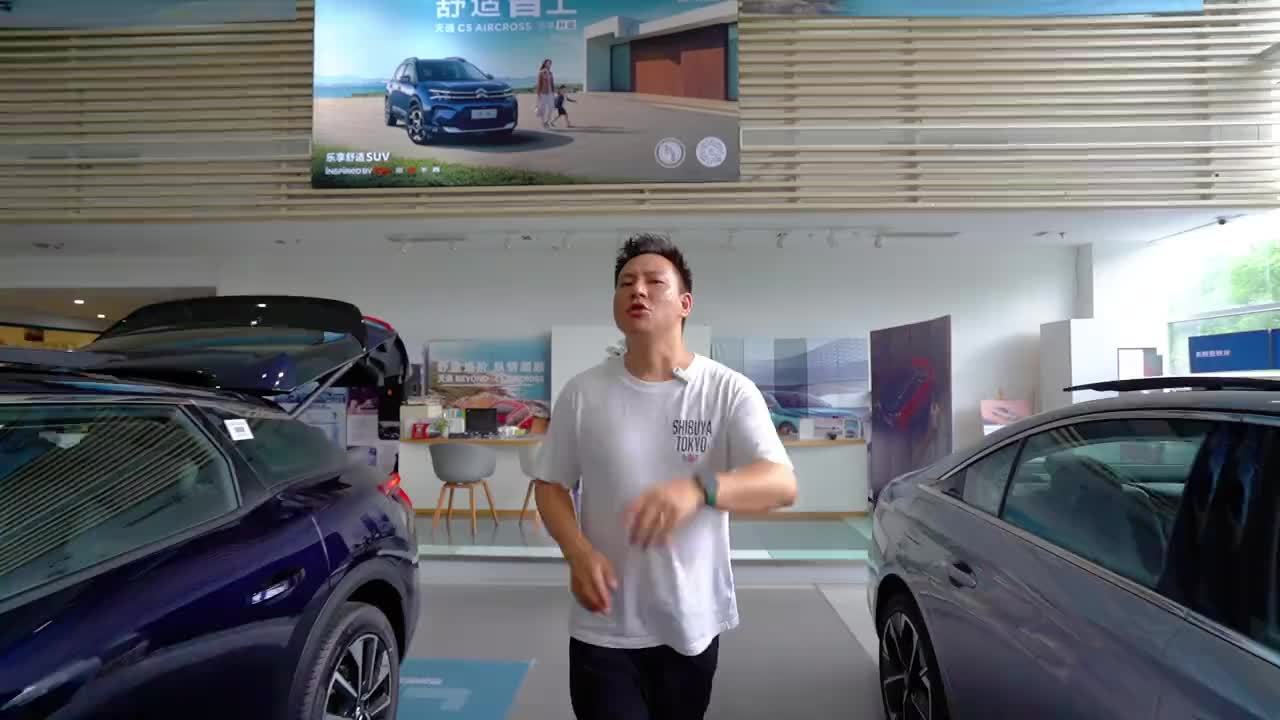 跨界风潮！同平台下的较量，凡尔赛C5 X与标致508L该选谁？_凤凰网视频_凤凰网