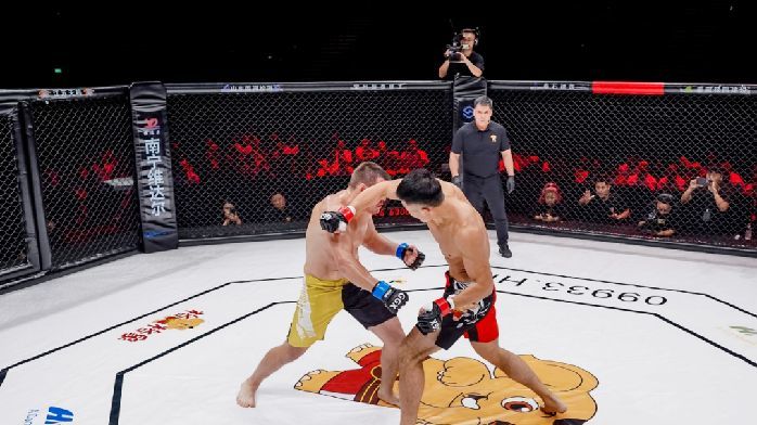 昨晚，刘策遭TKO！MMA生涯首败_凤凰网