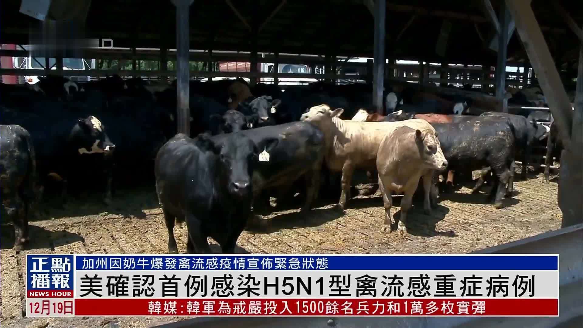 美国确认首例感染H5N1型禽流感重症病例_凤凰网视频_凤凰网