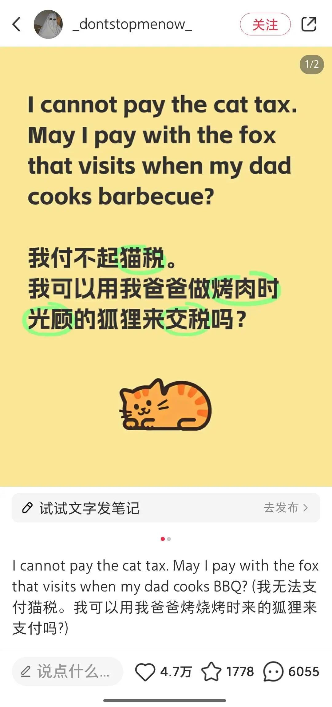 我们和5位“TikTok难民”，聊聊这场赛博迁徙_凤凰网