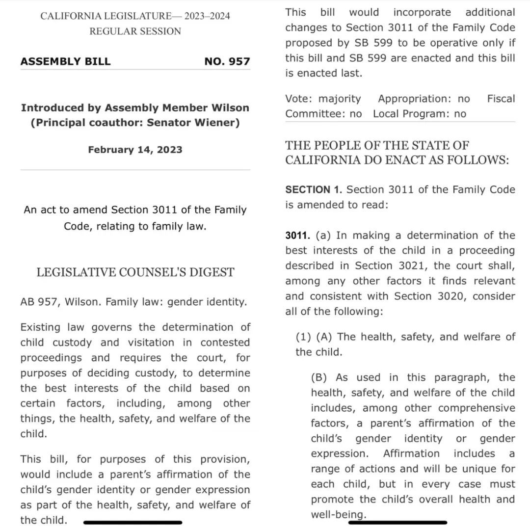 特朗普要终结97种性别，为何又选任同性恋高官？解析美国性别问题背后迷思_凤凰网