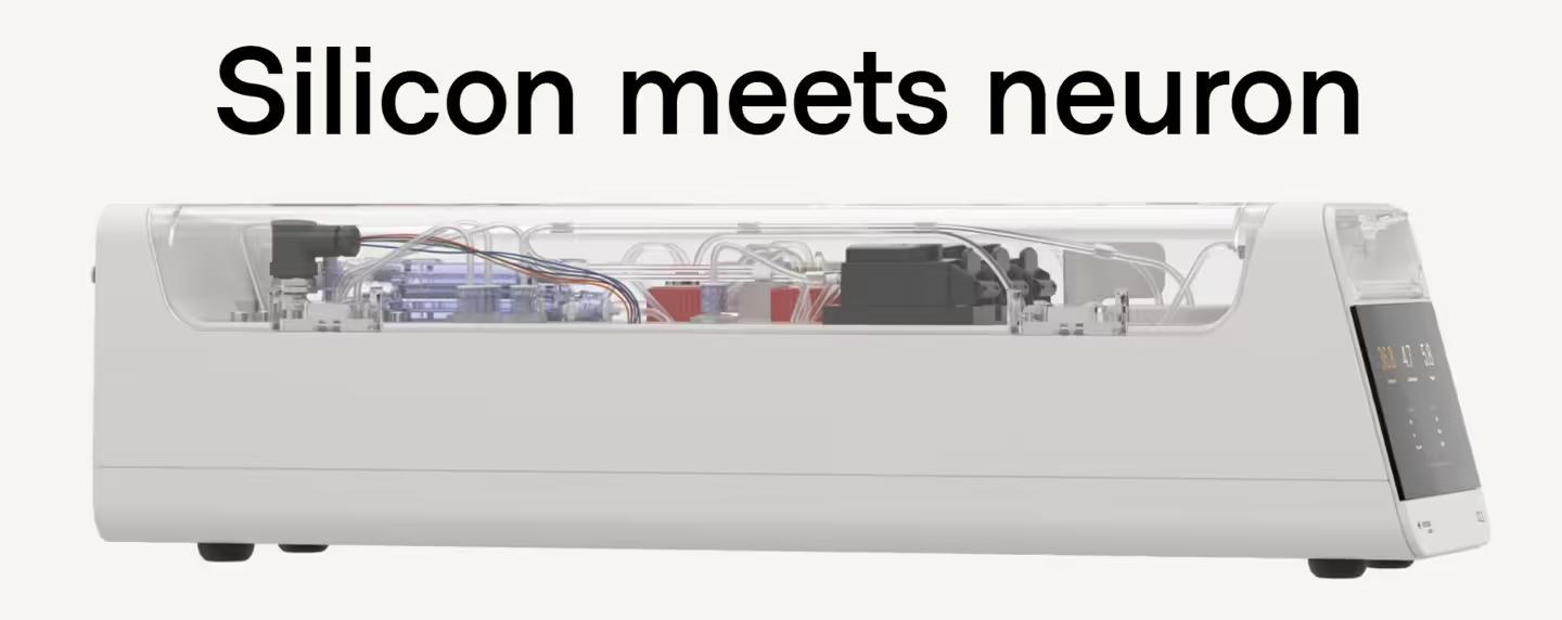 全球首台商用可编程生物计算机CL1问世，将人类神经元与硅基芯片结合_凤凰网