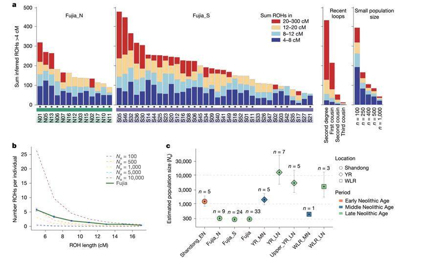 山东傅家遗址确证母系社会存在：DNA是实证，但并非孤证凤凰网山东_凤凰网
