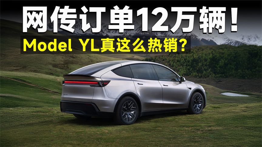 Model YL疑似订单造假？累计12万订单，实则下个月就能提车_凤凰网视频_凤凰网