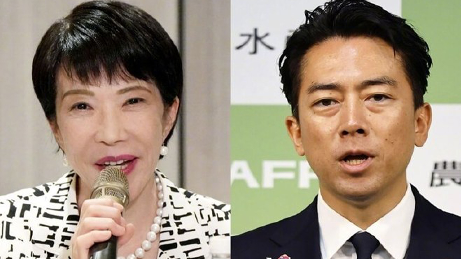 日本自民党总裁选举第一轮结束：高市早苗、小泉进次郎进入决胜轮 凤凰网视频 凤凰网