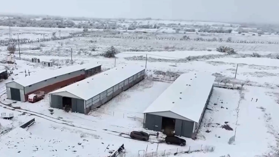 冷冷冷！中国自北向南将先后迎来“速冻式”降温_凤凰网