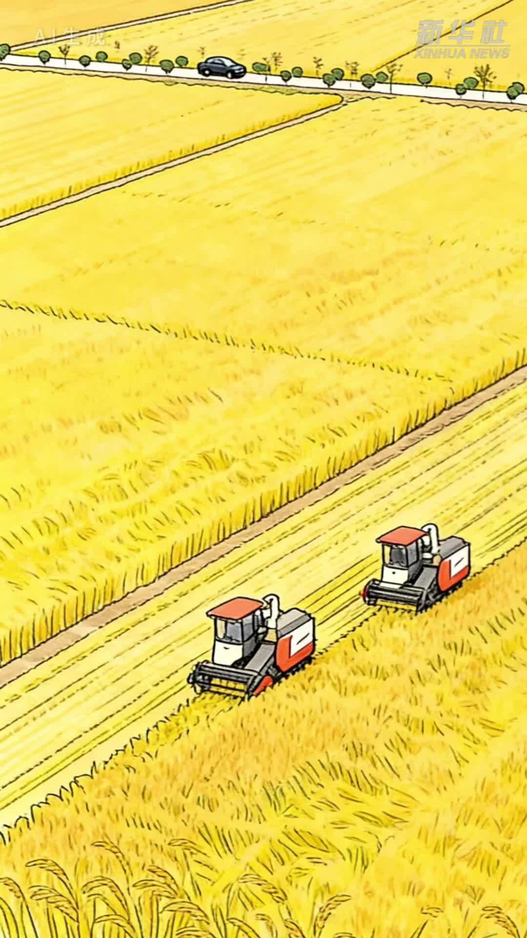14297.5亿斤！沃野良田筑牢“丰收密码”_凤凰网视频_凤凰网