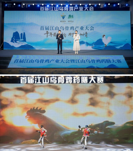 一只乌骨鸡撬动大产业 总导演张竣程：让传统药膳走进千家万户凤凰网海南_凤凰网