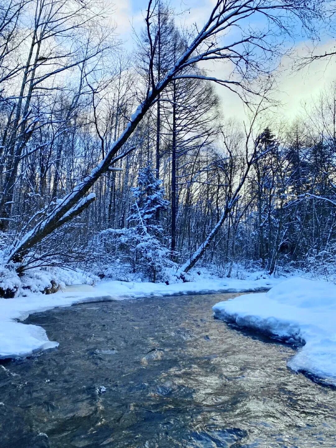 冬日秘境·雪凇漂流：闯进长白山的精灵世界凤凰网长春_凤凰网